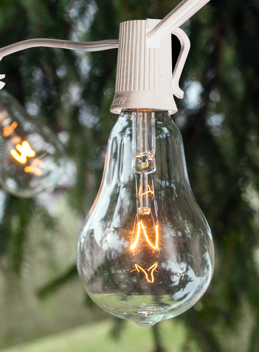 PS50 Clear String Light Sets with White wire | Hometown Evolution Inc.