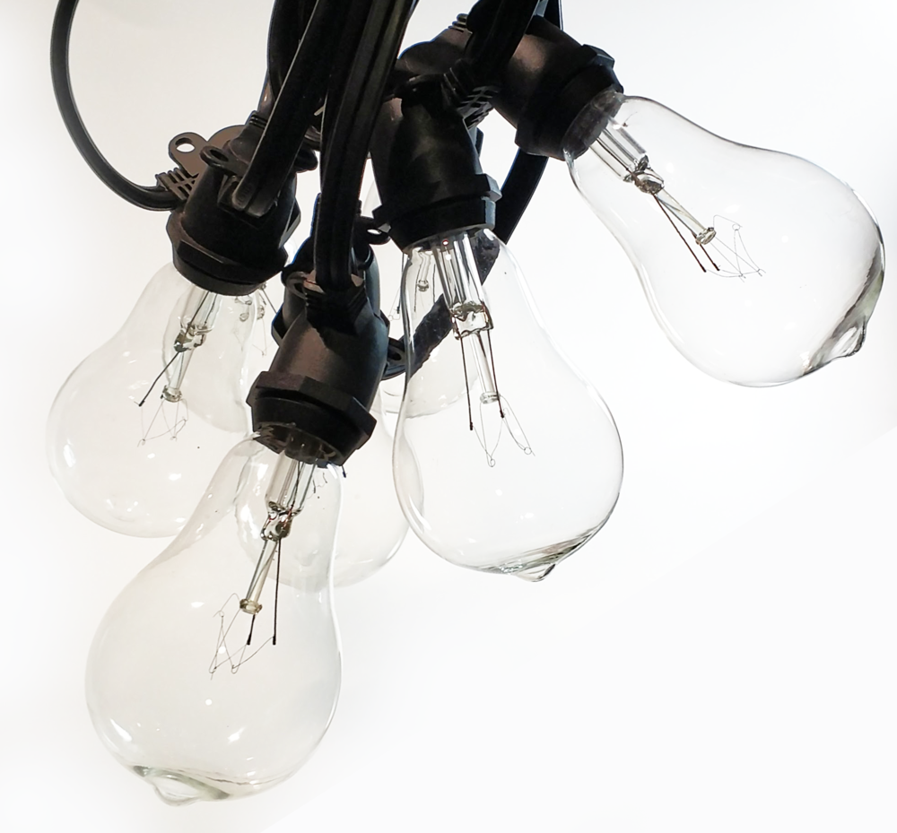 PS50 Clear Commercial String Light Sets with Black Wire | Hometown ...